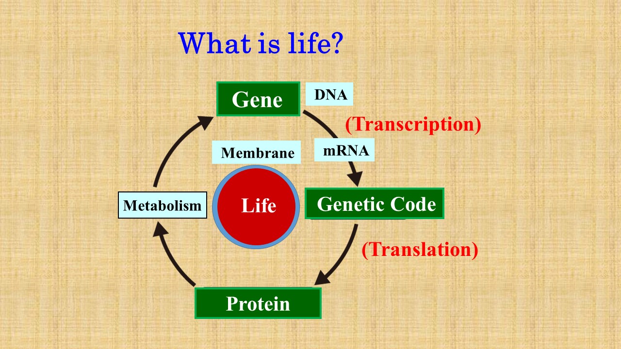 Fundamental life system | GADV hypothesis